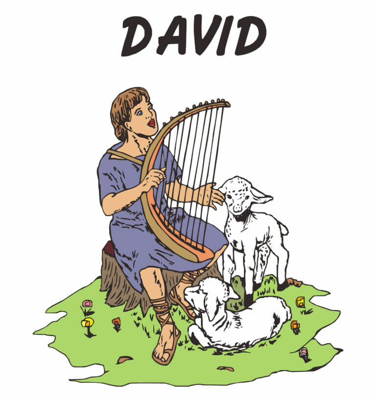 David (Colored) | The Visual Aids Workshop