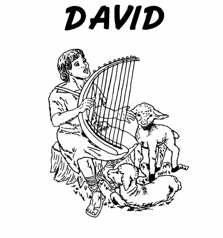 David (Black/White) | The Visual Aids Workshop